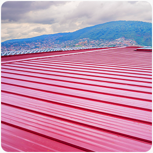 Products & Services | Mister Roof Ltd. Rwanda